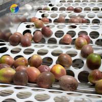 China Drying Sorting Circulating Surfing Fruit And Vegetable Processing Line Apple Tengsheng for sale