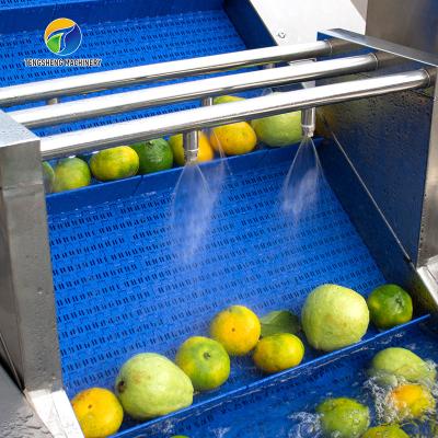China O inseticida conduzido personalizado exclui a linha de processamento vegetal, centrifugando a linha de processamento do tomate à venda