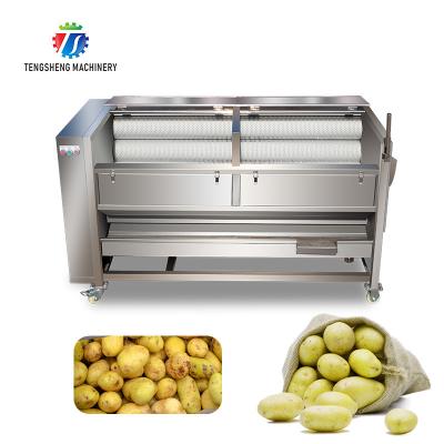 중국 기계 과일과 야채 세탁기 고구마 박리와 세탁기 ｍÅ를 청소하고 박리시키는 1500KG/H 헤어 스틱 판매용
