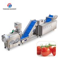 China Customized Potato Fruit And Vegetable Processing Line for sale