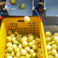 China Automatic Citrus Apple Grading Machine Potato Sorting Equipment Food Processor for sale