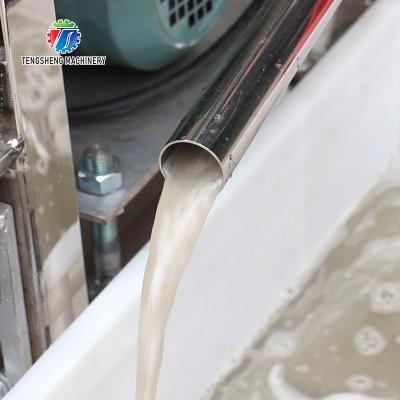 China Wholesale Fruit Juicer Commercial Large Juicer Stainless Steel Vegetable Juicer for sale