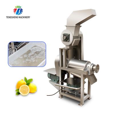 China Wholesale Fruit Juicer Commercial Large Juicer Stainless Steel Vegetable Juicer for sale