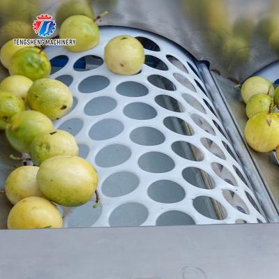 China 280KG Lemon screening and grading machine special stainless steel roller fruit sorting machine fruit sorting machine for sale