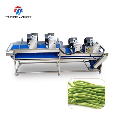 중국 350KG 과일과 식물성 식품 공기가 라인 플립 스테인레스 강 자연 건조 기계를 말립니다 판매용