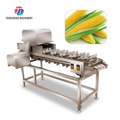Cina Melone amaro del melone della melanzana della lattuga del cetriolo dell'asparago della zucca della luffa del taglio di 150KG 2.05KW in vendita