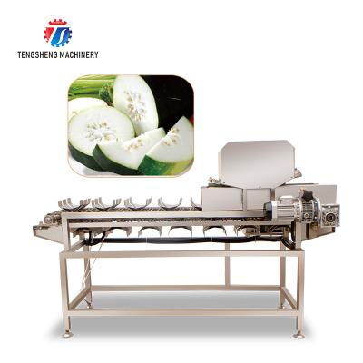 Cina Melone amaro del melone della melanzana della lattuga del cetriolo dell'asparago della zucca della luffa del taglio di 150KG 2.05KW in vendita