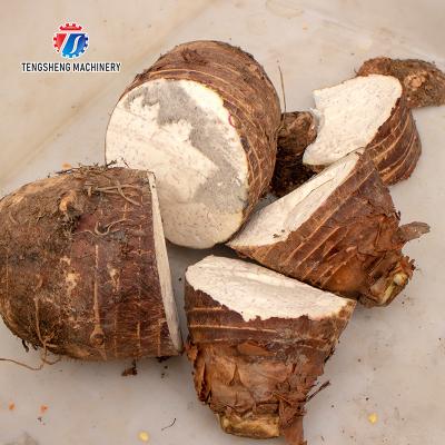 Cina Melone amaro del melone della melanzana della lattuga del cetriolo dell'asparago della zucca della luffa del taglio di 150KG 2.05KW in vendita