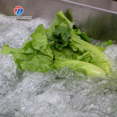 China Canteens Turbidity Reduce Fruit And Vegetable Washing Machine Sediment Discharge for sale
