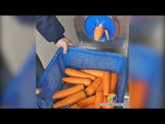 Máquinas automáticas para o tratamento de carrapatos, baseadas em Edelstahl