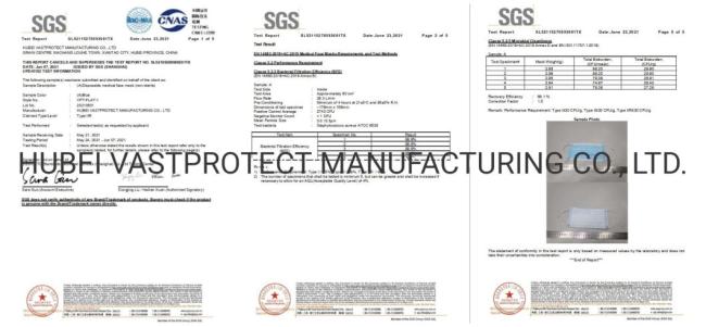 White List Factory CE Type I Type II Type Iir 3 Ply Earloop Nonwoven PP Medical Protective Disposable Surgical Face Mask