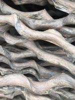 China Natural Tree Vine - 3-6 Meter Lengths, 10-50mm Diameter for Industrial & Decorative Applications for sale