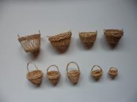 China Willow for sale