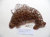 China Willow for sale