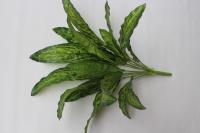 China Natural Leaves for Industrial and Decorative Use - Various Sizes and Applications for sale