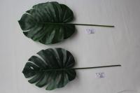 China Natural Leaves for Industrial Applications - Multiple Sizes Available from 5cm to 30cm for Manufacturing Processes for sale