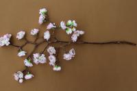 China Artificial Flowers for sale