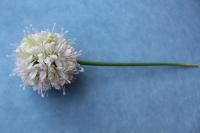 China Artificial Flowers for sale