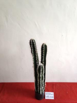 China XRBB100-3L for sale