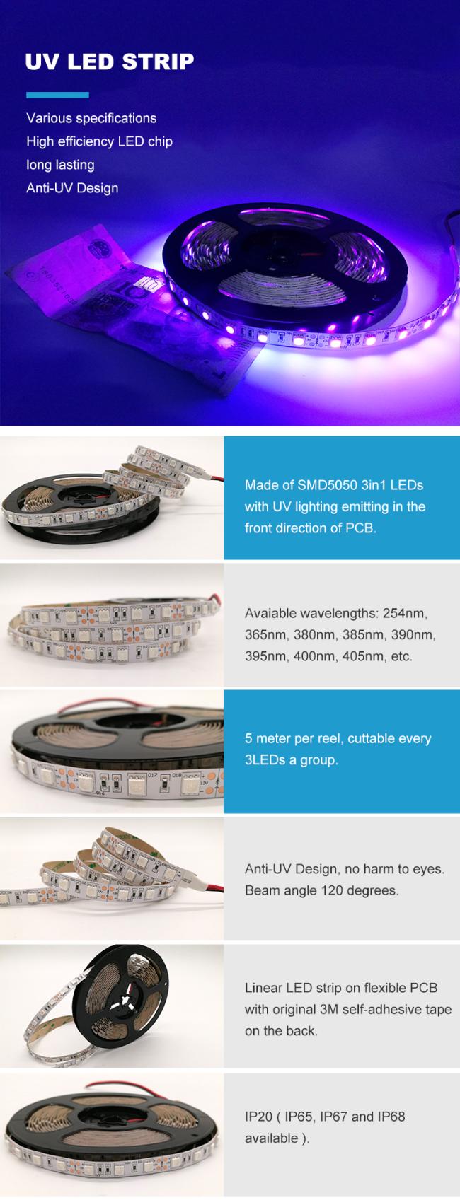 Chinese Manufacturer 12V 24v  Led Strip Lights 60 LEDs/M rgb SMD 5050 Led Strip
