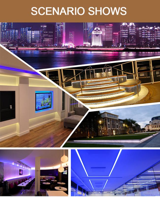 Bicolor tira de led a prueba de agua 240leds/m outdoor 12v 24v smd 2216 waterproof flexible led light strip