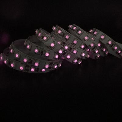 China Professional 850nm 660nm 730nm 12v waterproof led strip pcb lights for sale
