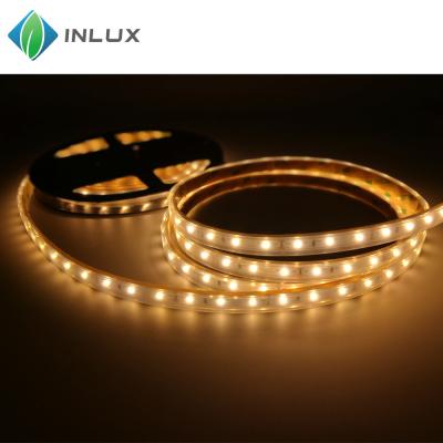 China IP65 IP67 IP68 waterproof silicon sleeve 3528 2835 5050 DC 12V 24V 120 leds per meter flexible led strip light for sale