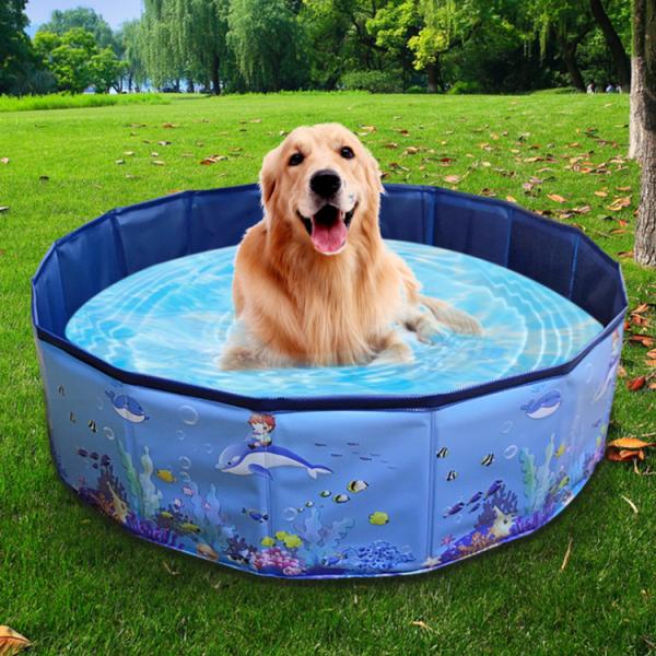 Quality Outdoor And Indoor Foldable dog pool Nontoxic Easy to clean Portable pet pool perfect for dog bathing grooming and travel for sale