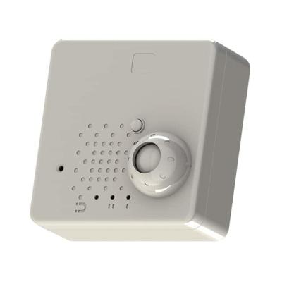 Cina T0006116 in vendita
