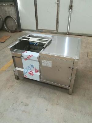 China Bubble Vegetable Washer with sofa and hard brush for sale