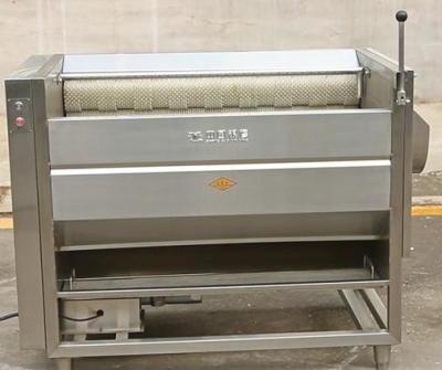 China Competitive Price Vegetable Washing Machine/Salad Vegetable Processing Line for sale