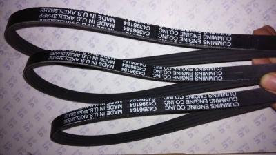 China Cummins 4396164 fan  belt for sale
