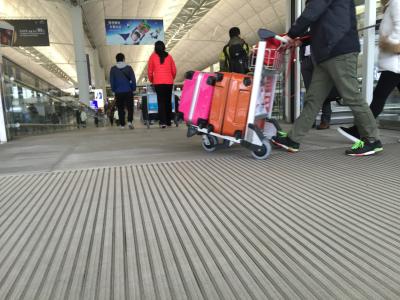 Cina Grandi 2500mm stuoie all'aperto resistenti d'anodizzazione di 2000mm in vendita