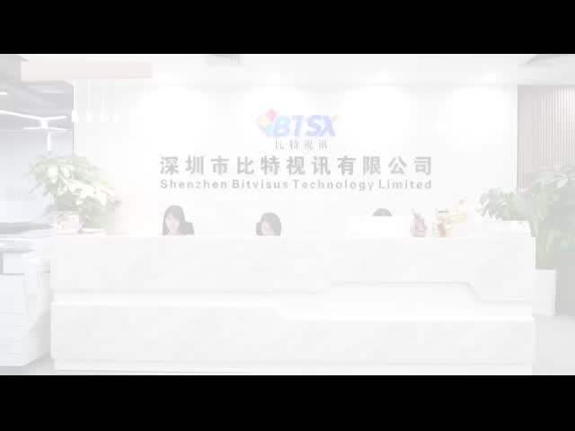 Shenzhen Bitvisus Technology Co.,Ltd.