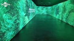 Bitvisus dez projetores solução de sala imersiva