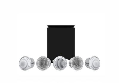China IW3max S10D 5.1 Ultra-Thin 7cm Home Cinema System 180W 110dB 1000W Dual 10 Inch Subwoofer Deep Bass for sale