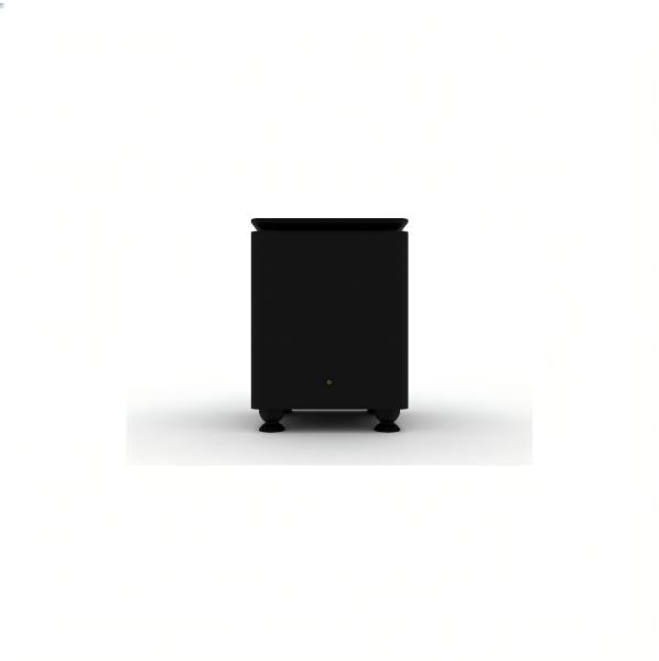 Quality Snail Power S10D Dual 10 Inch 1000W Subwoofer for sale
