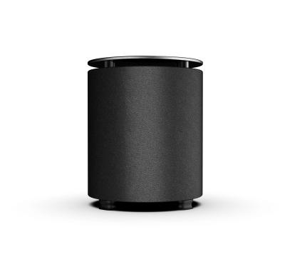 China B28 Dual 8-inch 400W Subwoofer with 110dB High Sound Pressure for Immersive Bass Experience for sale
