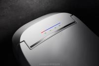 China Advanced Function Automatic Deodorization Toilet Integrated Multi-Function Luxury with S-trap Drainage and Remote Control for sale