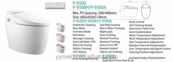 Quality One Piece Structure Heated Bidet Toilet with Integrated Multi-Function Luxury for sale