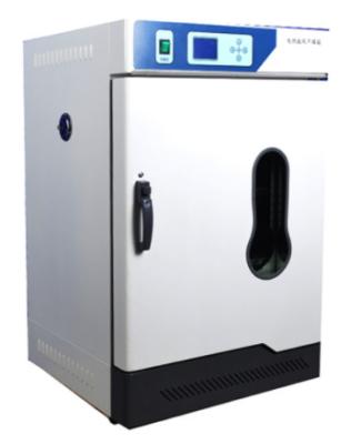 China Vacuum Drying Oven RT +10°C ~500°C Hot Air Constantly Cycle For University Laboratory for sale