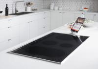 China Induction Cooker Ceramic Glass with Solid Material and Heat-Resistant Properties for sale