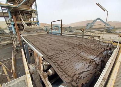 China Grote filtratiecapaciteit Vacuümgordel Filter Slibbehandeling Breed toepassingsgebied for sale