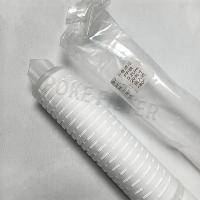 China Folded 0.2 Micron PTFE PP Water Filter Element Cartridge Replacement for sale