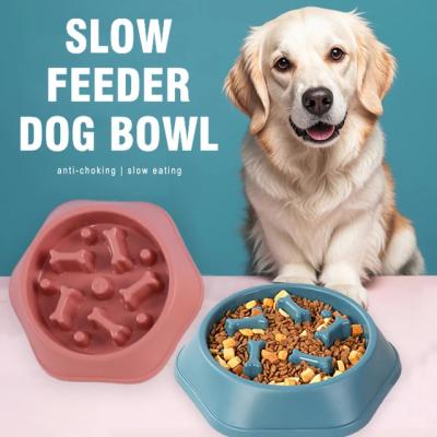 China Smart Pet Slow Feeder Bowl | Transform Mealtime into Quality Time for sale