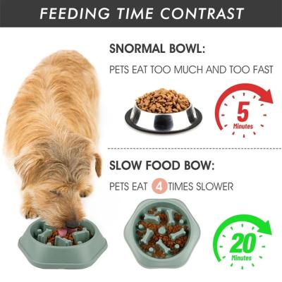 China Smart Pet Slow Feeder Bowl | Transform Mealtime into Quality Time for sale
