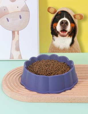 China Multi-Purpose Flower-Edge Pet Bowls - Versatile Feeding and Hydration Solution for sale