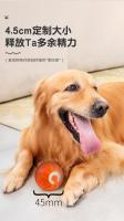 China Interactive Pet Toy Balls - Stimulating and Engaging for sale