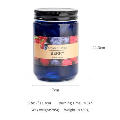 China Customized Logo Acceptable BlueBerry Scented Candle for Home Decor and Aromatherapy zu verkaufen
