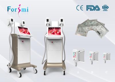 China Weight reduce 3.5 inch handle screen Cryolipolysis Slimming Machine FMC-I Fat Freezing Machine for sale